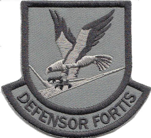 Large Custom Security Forces Defensor Fortis Grey Multicam Patch – ALL Patch Stuff